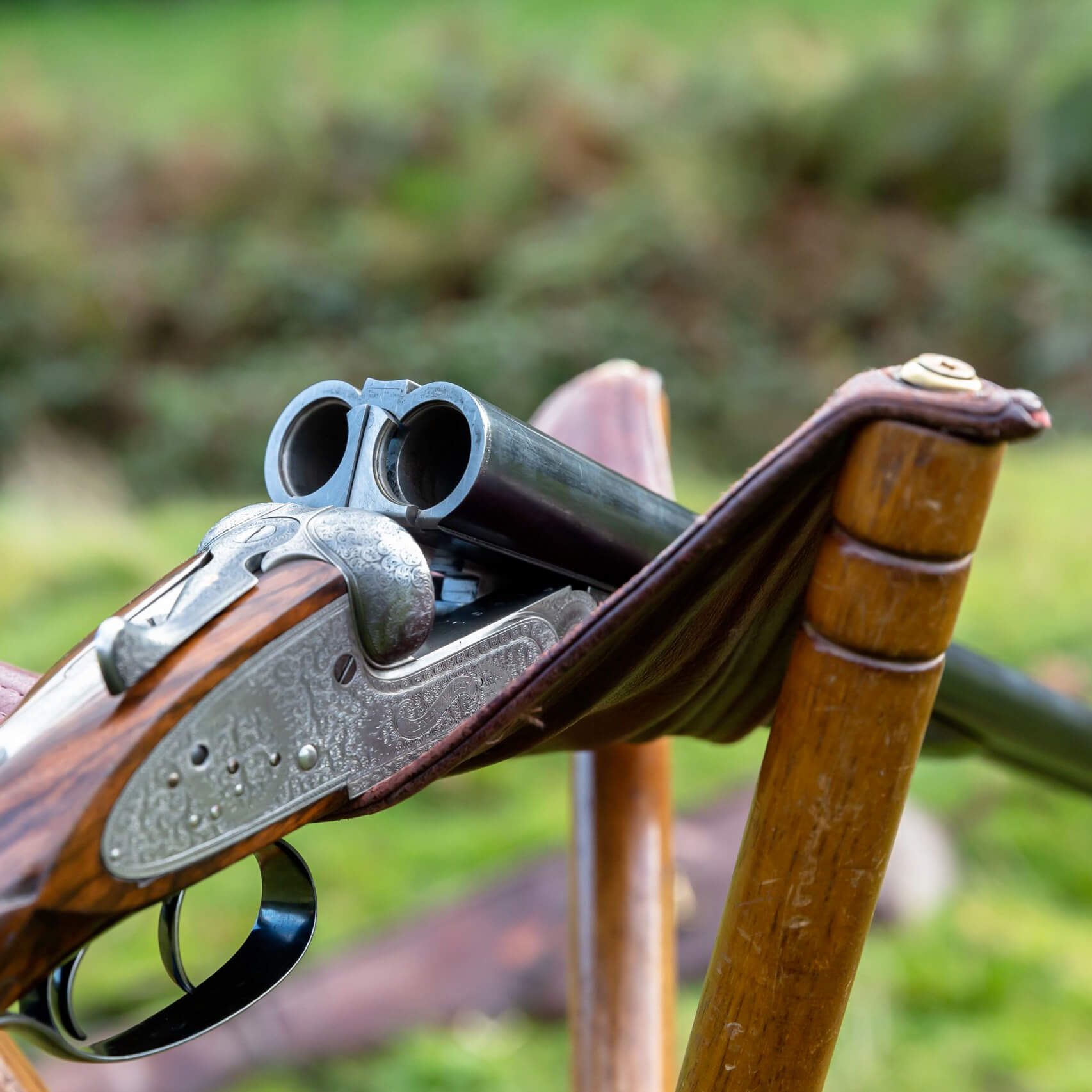 Deer Stalking – Buckhurst Park